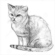 Grumace - Play Grumace Online on KBHGames